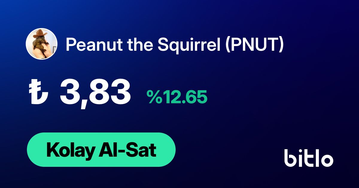 Peanut the Squirrel (PNUT) Satın Al - PNUT/TRY - Bitlo.com
