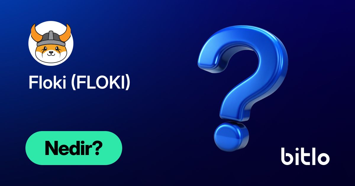 Floki (FLOKI) Nedir? Her şeyiyle Floki [Rehber] - Bitlo.com