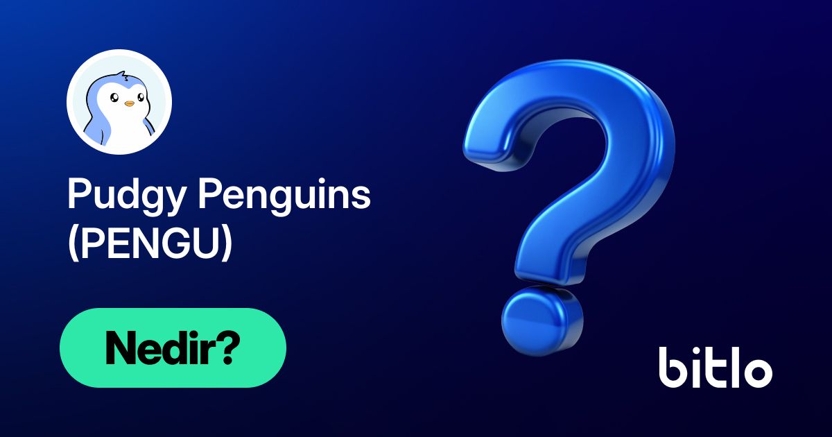 Pudgy Penguins (PENGU) Nedir? Her şeyiyle Pudgy Penguins [Rehber] - Bitlo.com